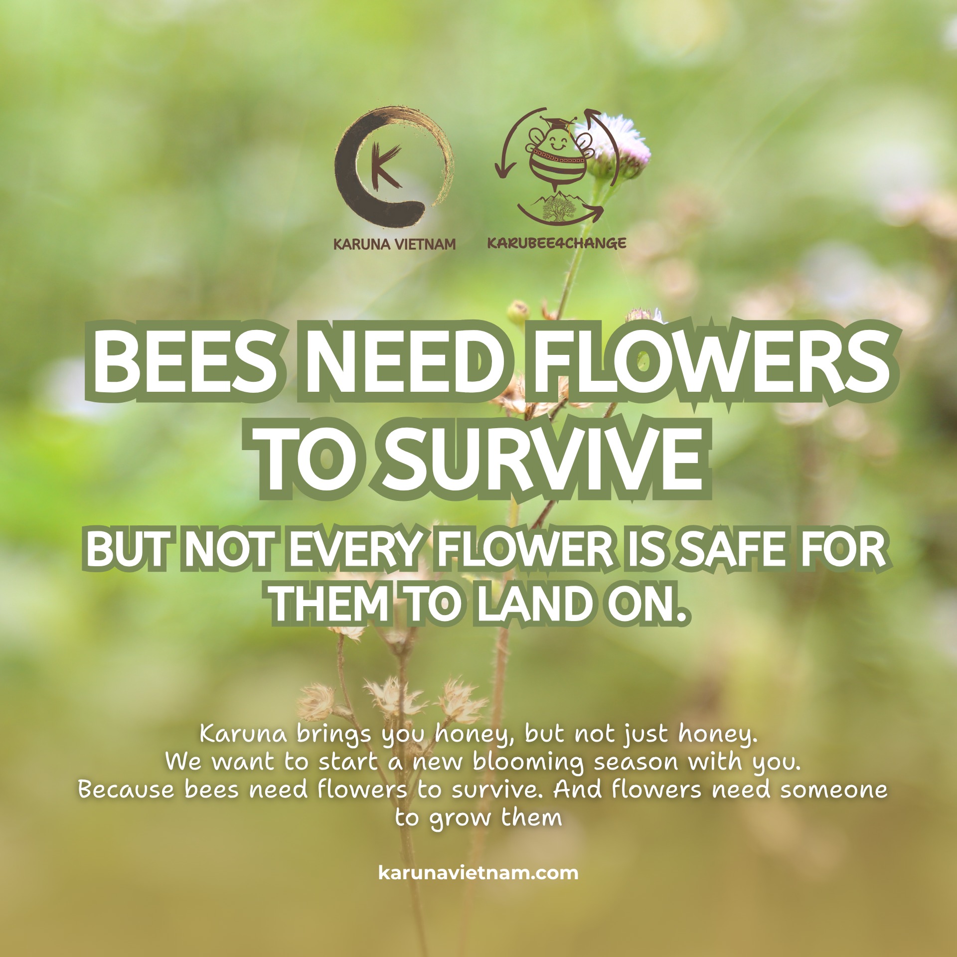 𝐁𝐞𝐞𝐬 𝐧𝐞𝐞𝐝 𝐟𝐥𝐨𝐰𝐞𝐫𝐬 𝐭𝐨 𝐬𝐮𝐫𝐯𝐢𝐯𝐞 b𝐮𝐭 𝐧𝐨𝐭 𝐞𝐯𝐞𝐫𝐲 𝐟𝐥𝐨𝐰𝐞𝐫 𝐢𝐬 𝐬𝐚𝐟𝐞 𝐟𝐨𝐫 𝐭𝐡𝐞𝐦 𝐭𝐨 ...